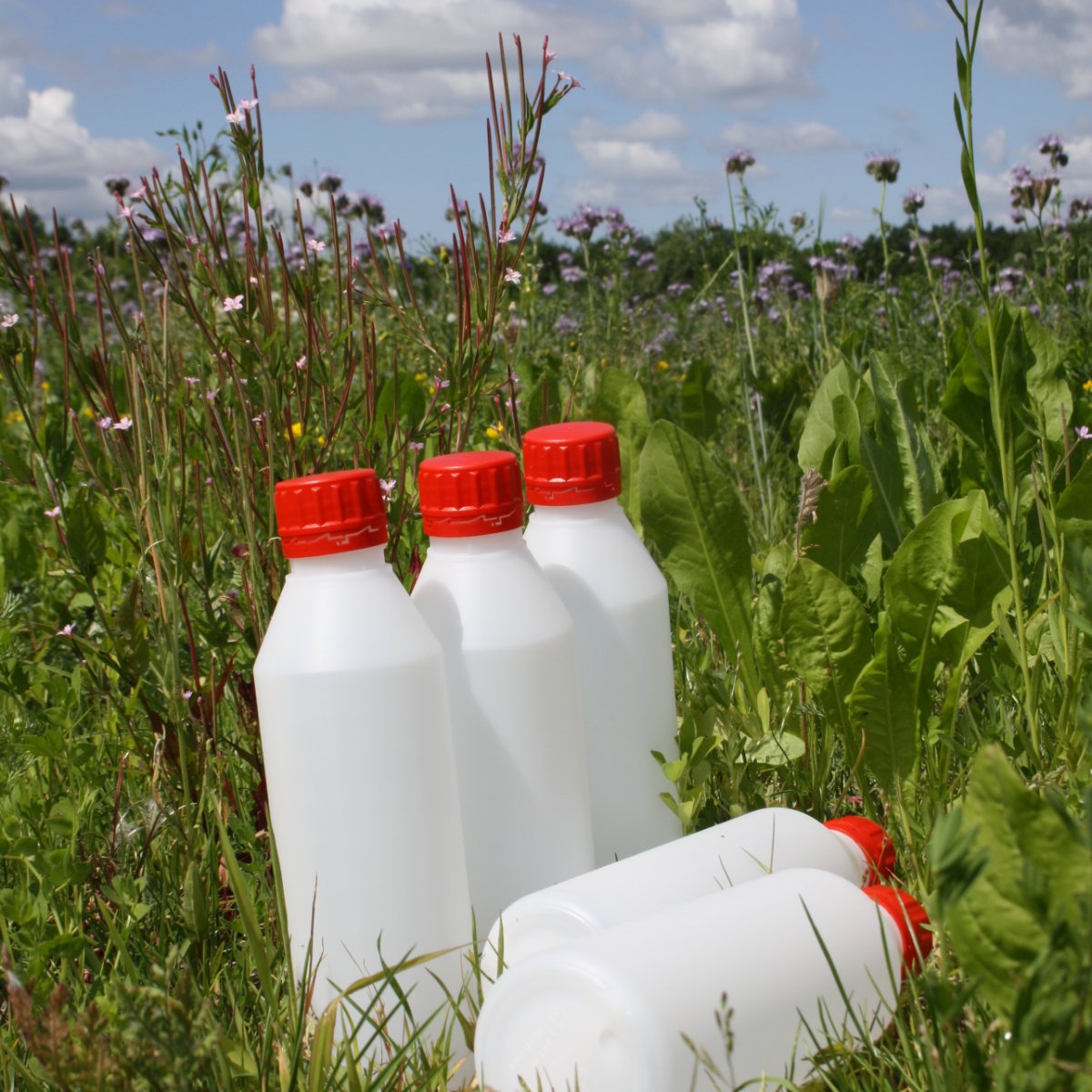 Emballasje - Nordisk SelvForsyning
