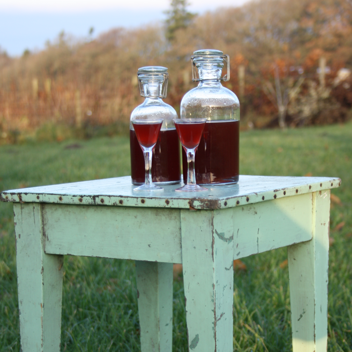 Mjød Gærpakke, Mørk Frugt + Bær - Mjød Gærpakker Komplet - Nordisk ...